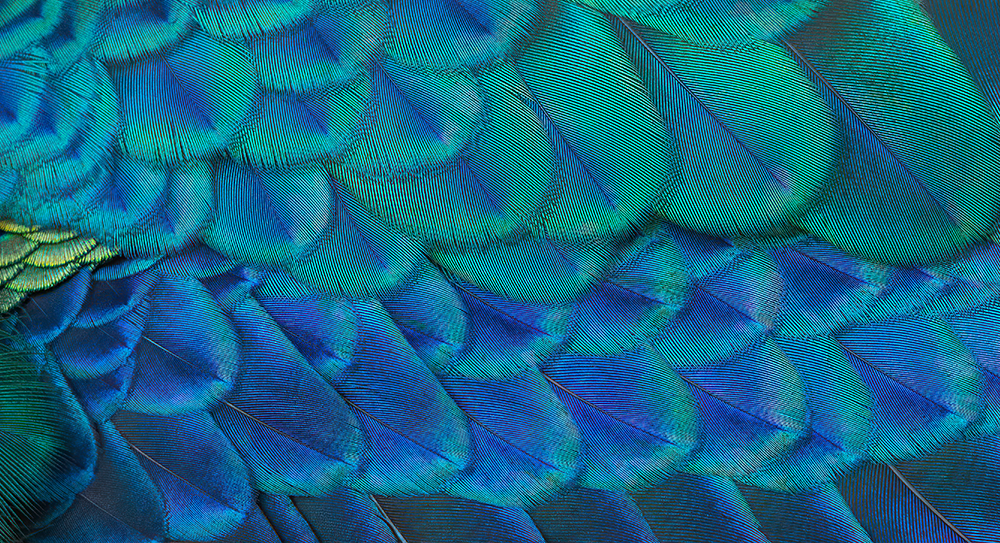 Sustainability | GKD Group