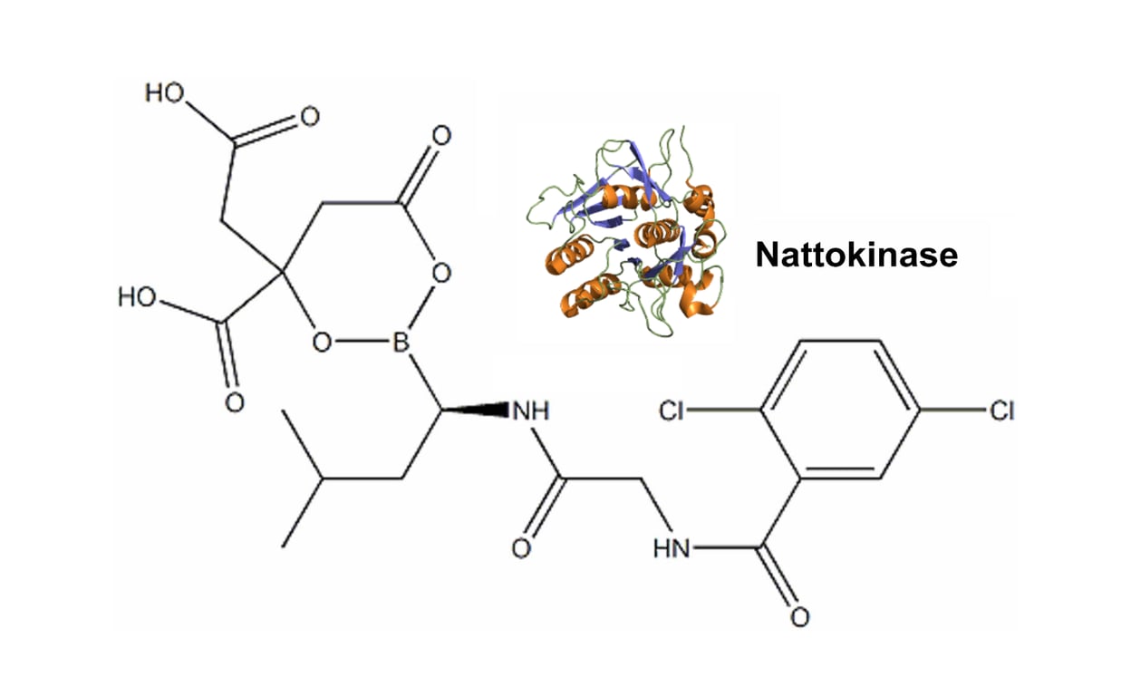Dissolution of Spike Protein by Nattokinase