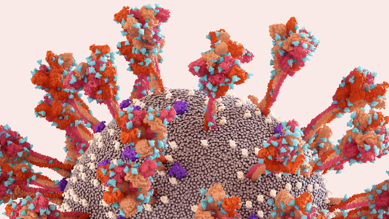New Study Finds Lingering Spike Protein in 50% of Vaccinated People ...