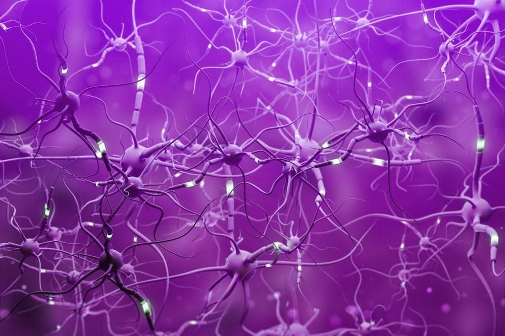Breakthrough--Activation of Neural Stem Cells in Adult Human Brain