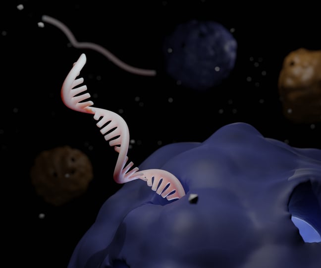 Moderna’s mRNA-3927 Shows Promise In 16 Patients with Propionic ...