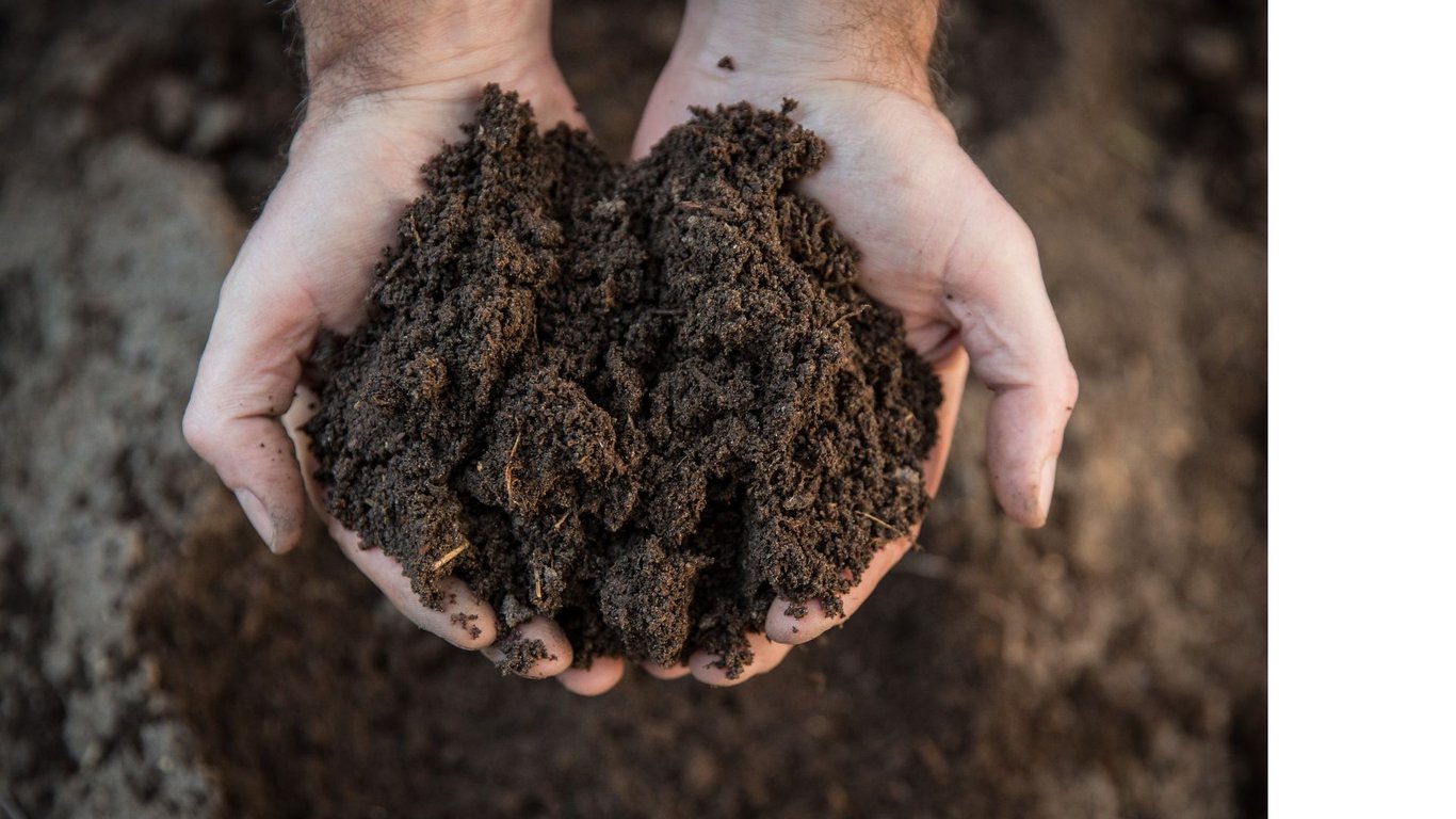 Are Biosludge Applications Safe for the American Public?