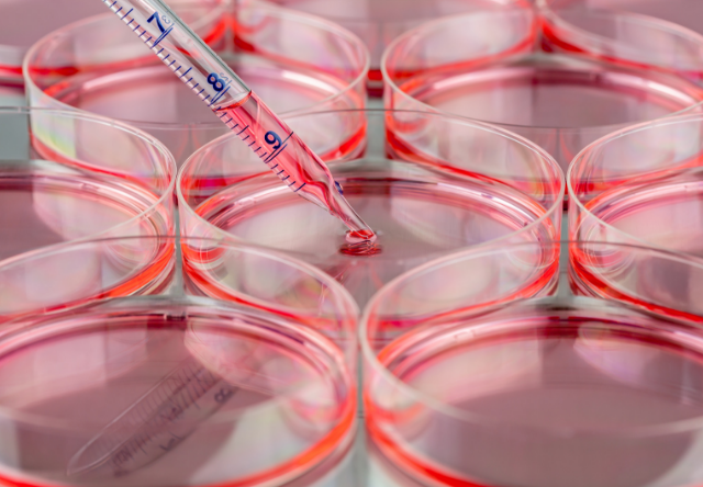 Cancer Research Center Finds Blood Cells Can Be Programmed into Neural ...