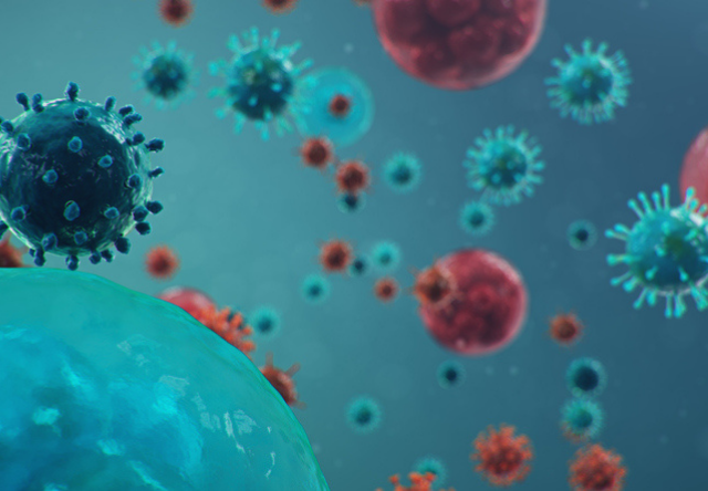 Taking the STING Out of Cancer: Discovery about How Cancer Cells Evade ...