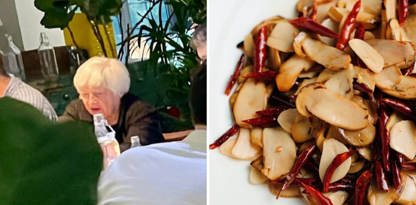 Jian Shou Qing: The Magic Mushrooms Janet Yellen Ate in China — RADII