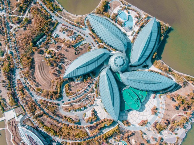Photo of the Day: Flower Island — RADII
