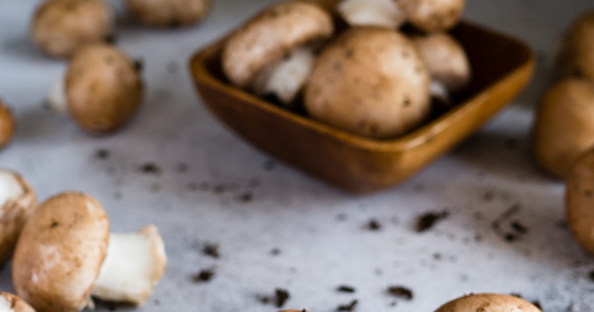 National Mushroom Day