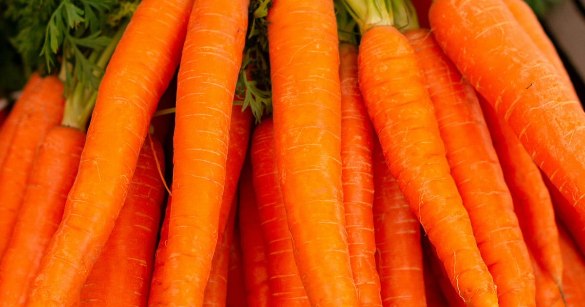 International Carrot Day