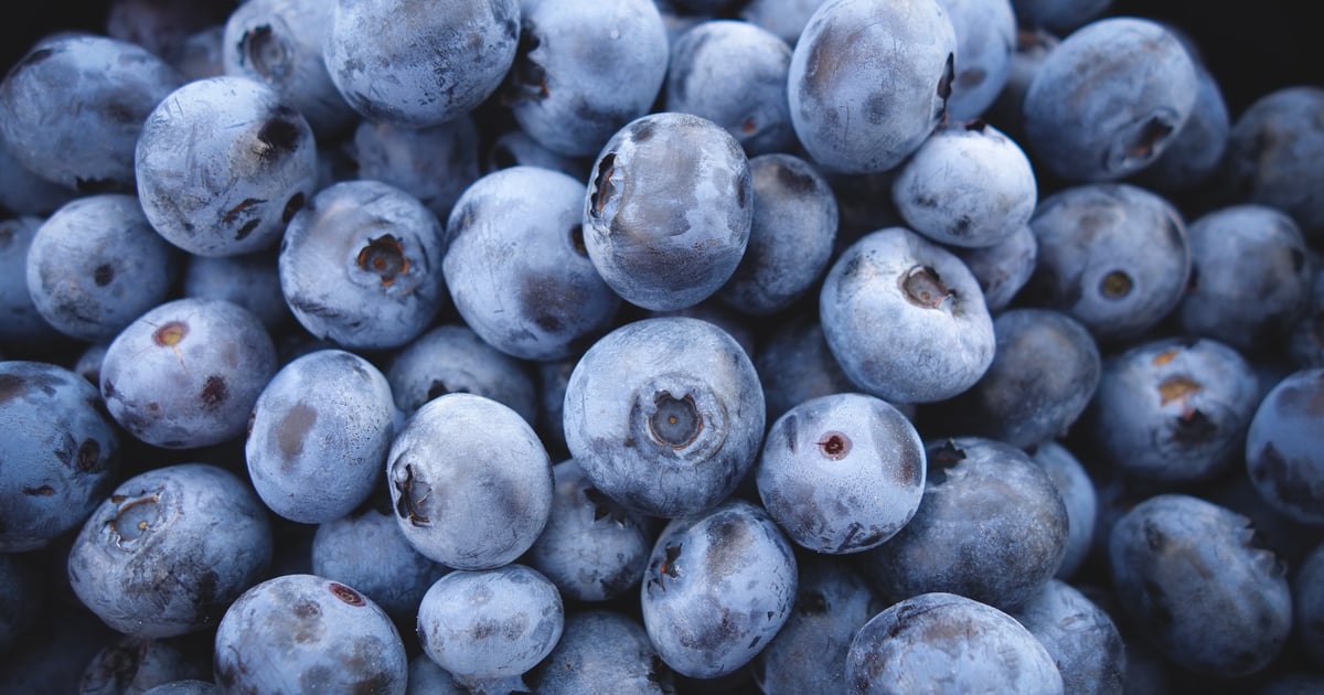 National Blueberry Day