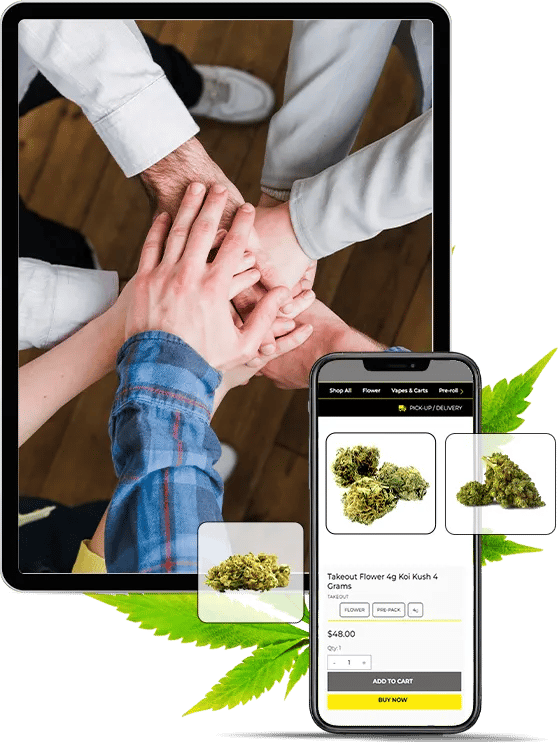 About the Company | Cannabis E-Commerce Experts