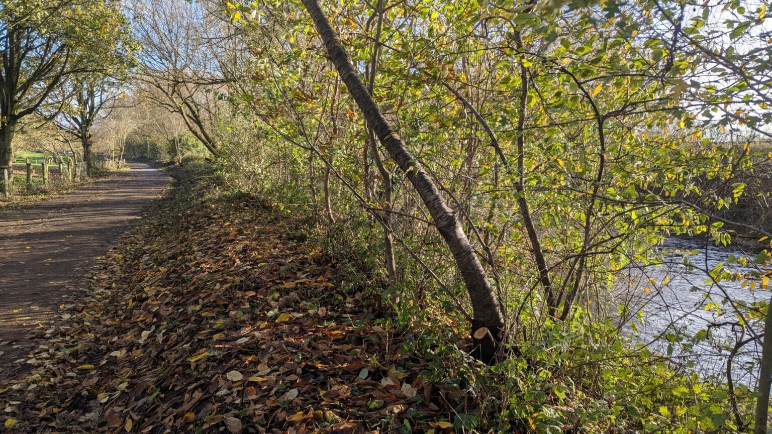 New National River Walk: What it means for paddlers | Paddle UK