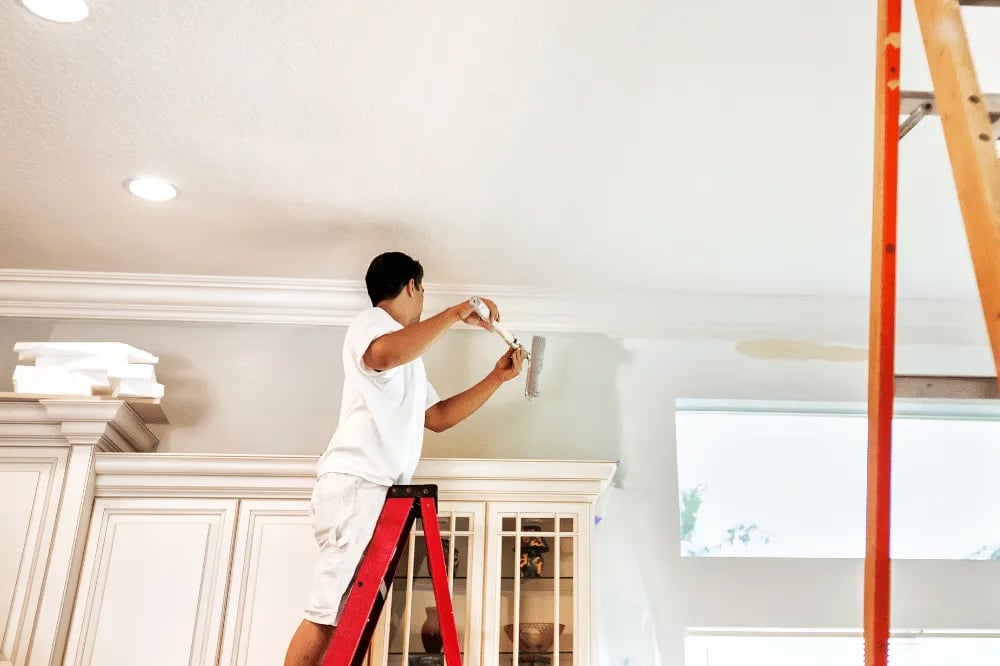 Number of Paint Coats For Strong Durability - A Touch of Color