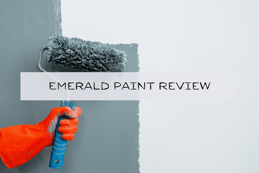 Sherwin Williams Emerald Interior Review - A Touch of Color