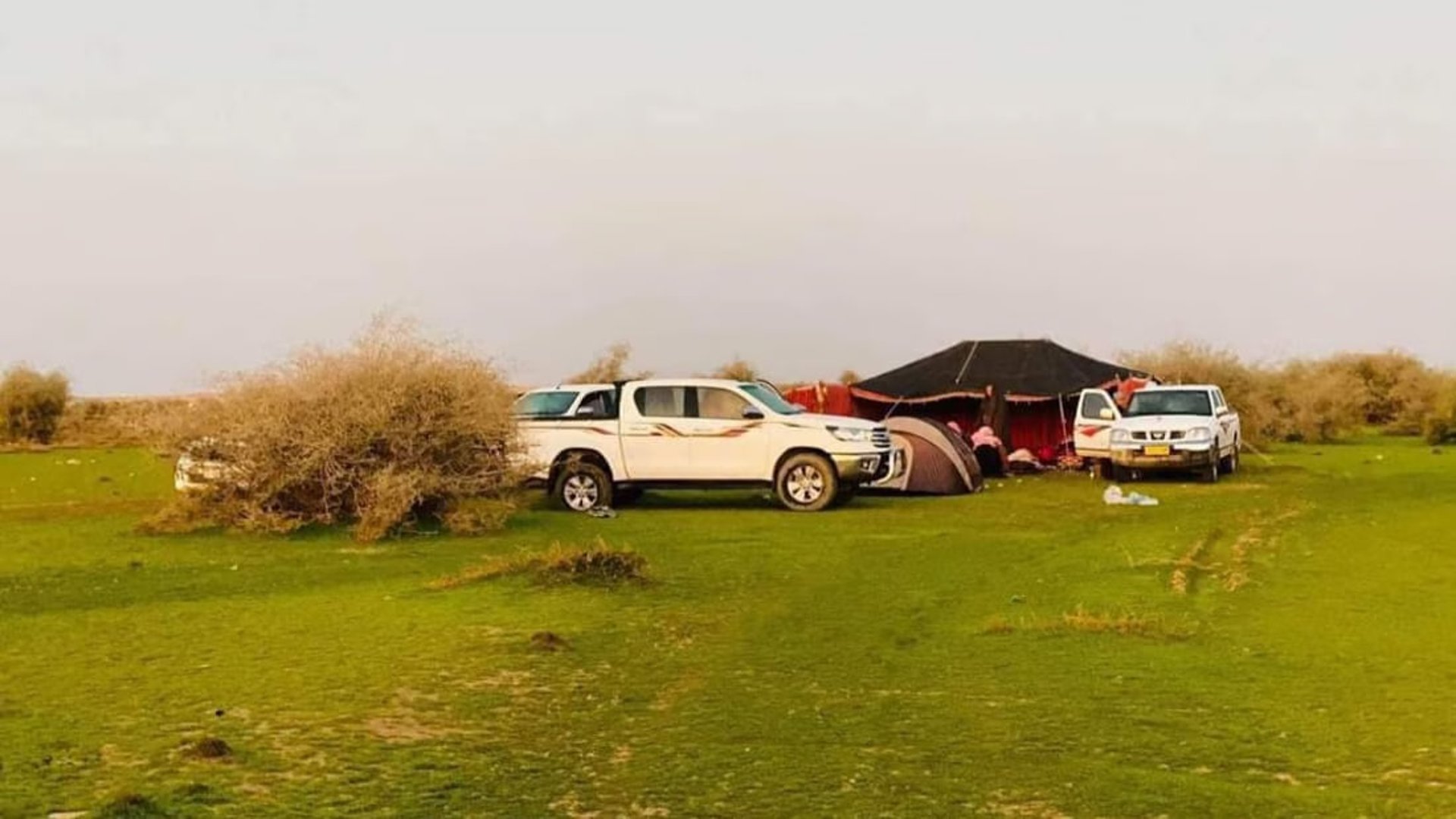 Camping enthusiasts explore the scenic Iraqi desert in Samawah » 964media