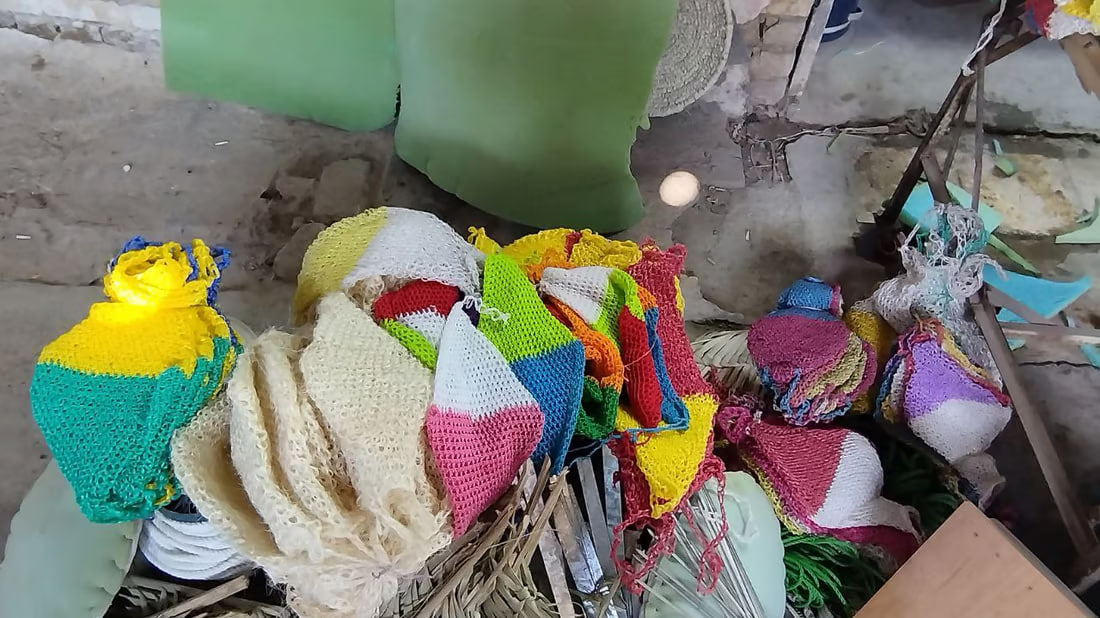 Traditional loofahs in demand despite competition from imports » 964media