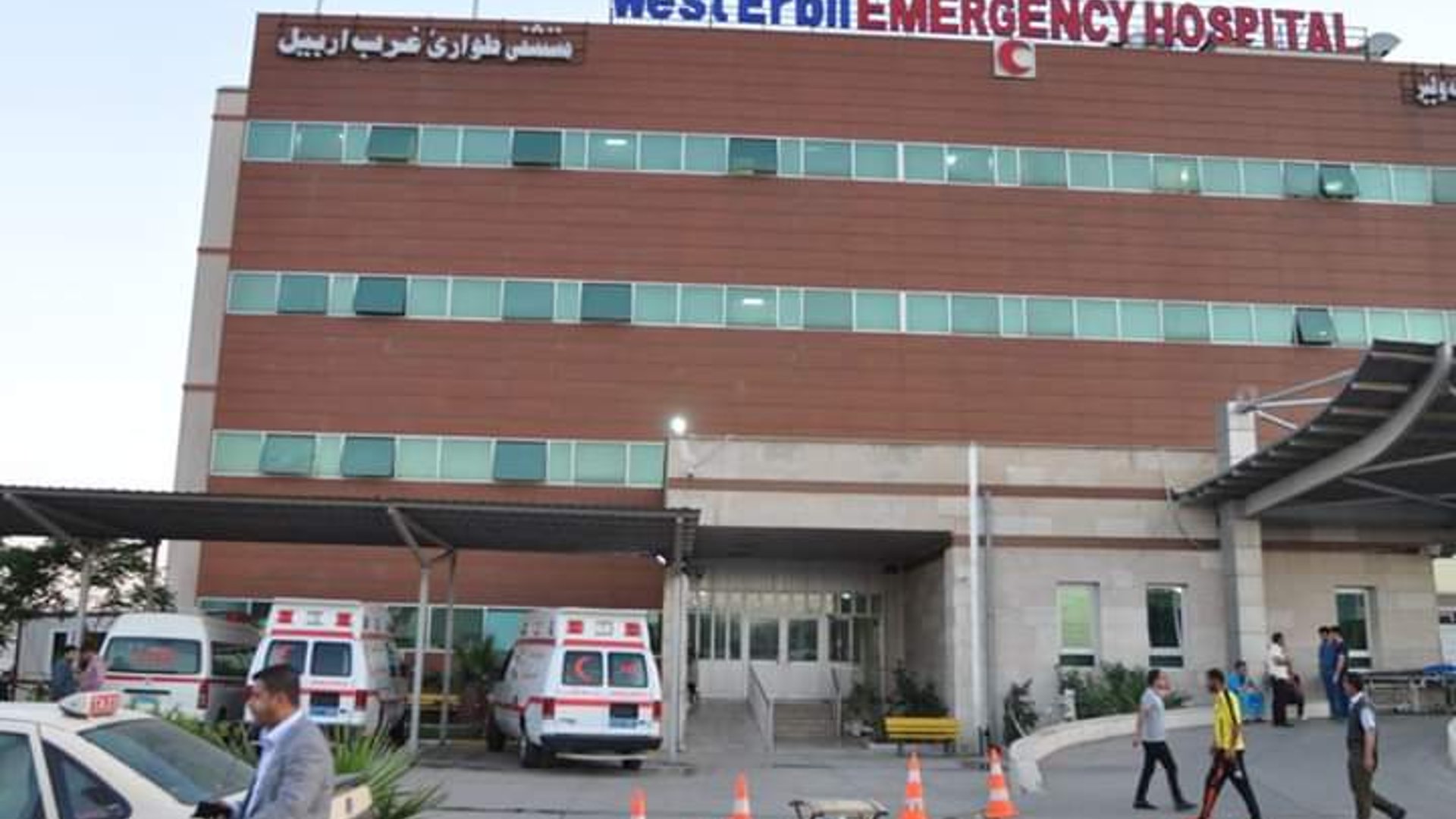 Erbil hospital records two dog bites per day throughout 2023 » 964media