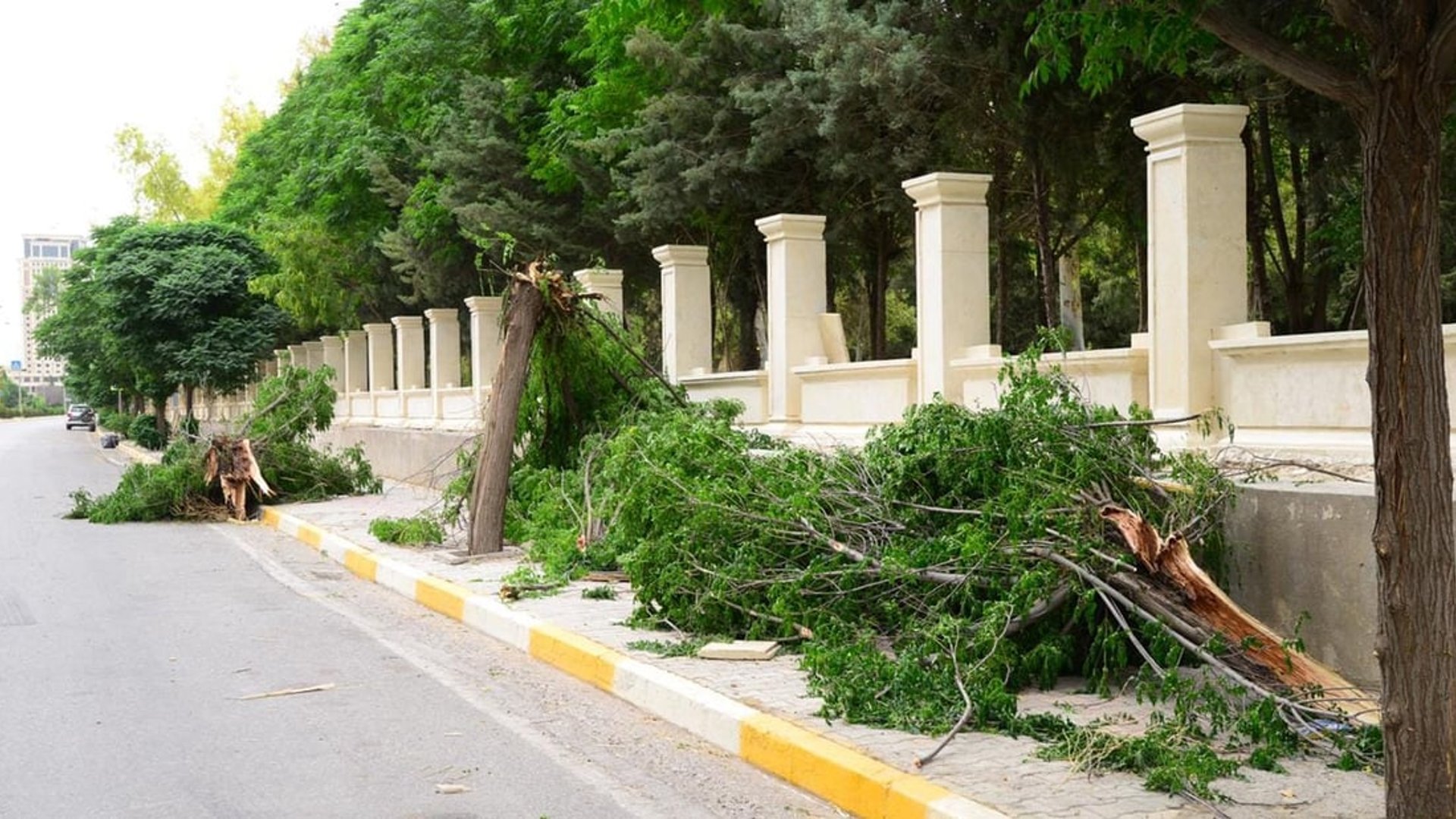 Strong winds break 100 trees in Erbil parks » 964media