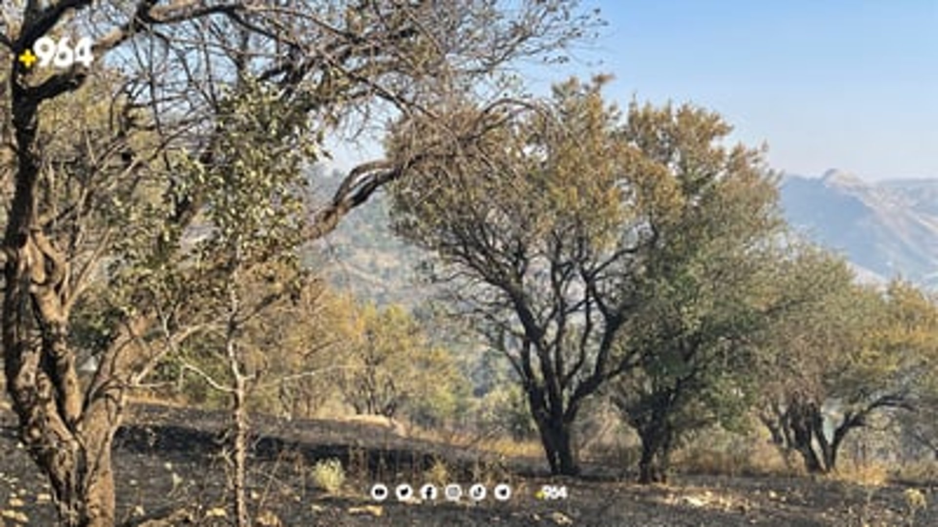 Fires in Penjwen district scortch nearly 9,000 acres of land this year ...