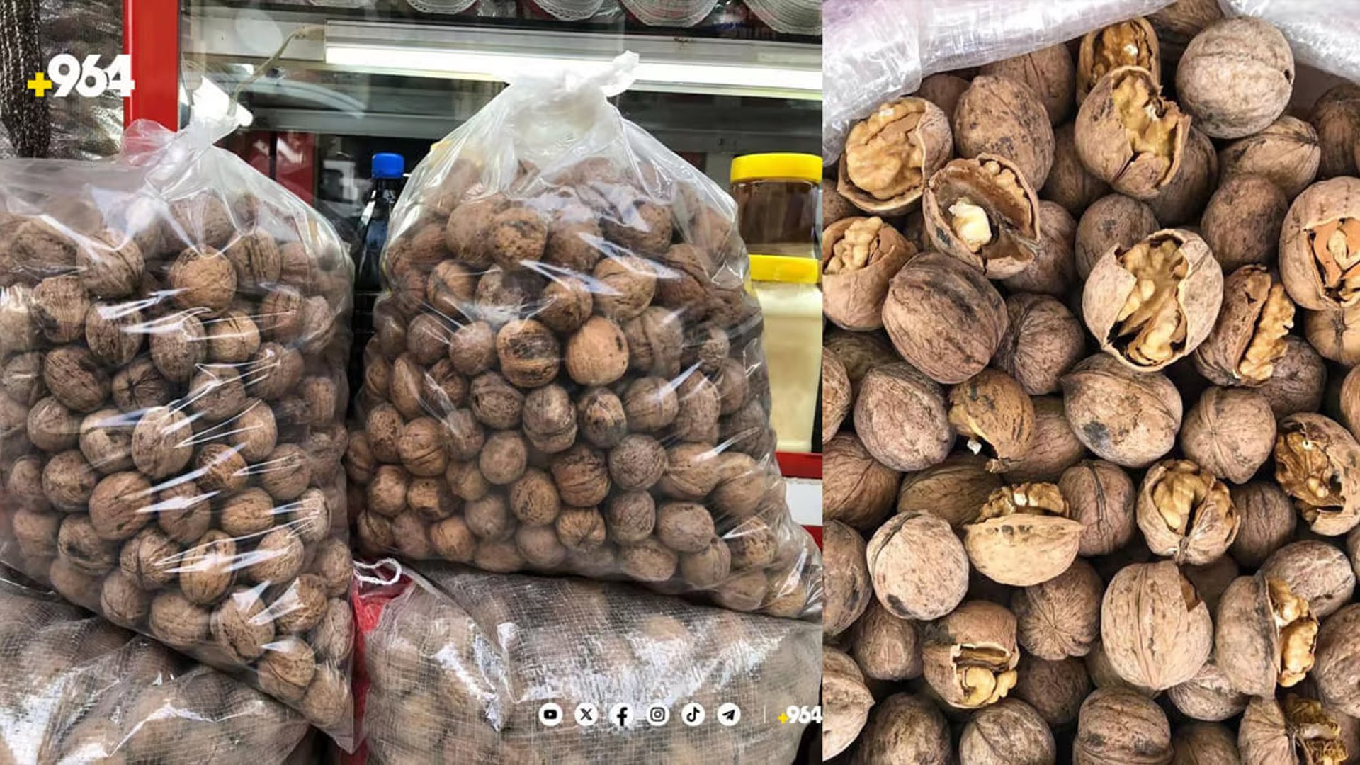 Shortage of Hawraman walnuts in Sulaymaniyah markets sparks high demand ...