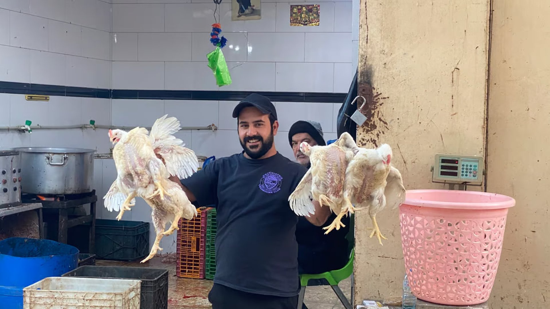 Insight from Basra's poultry market shows local preferences and pricing ...