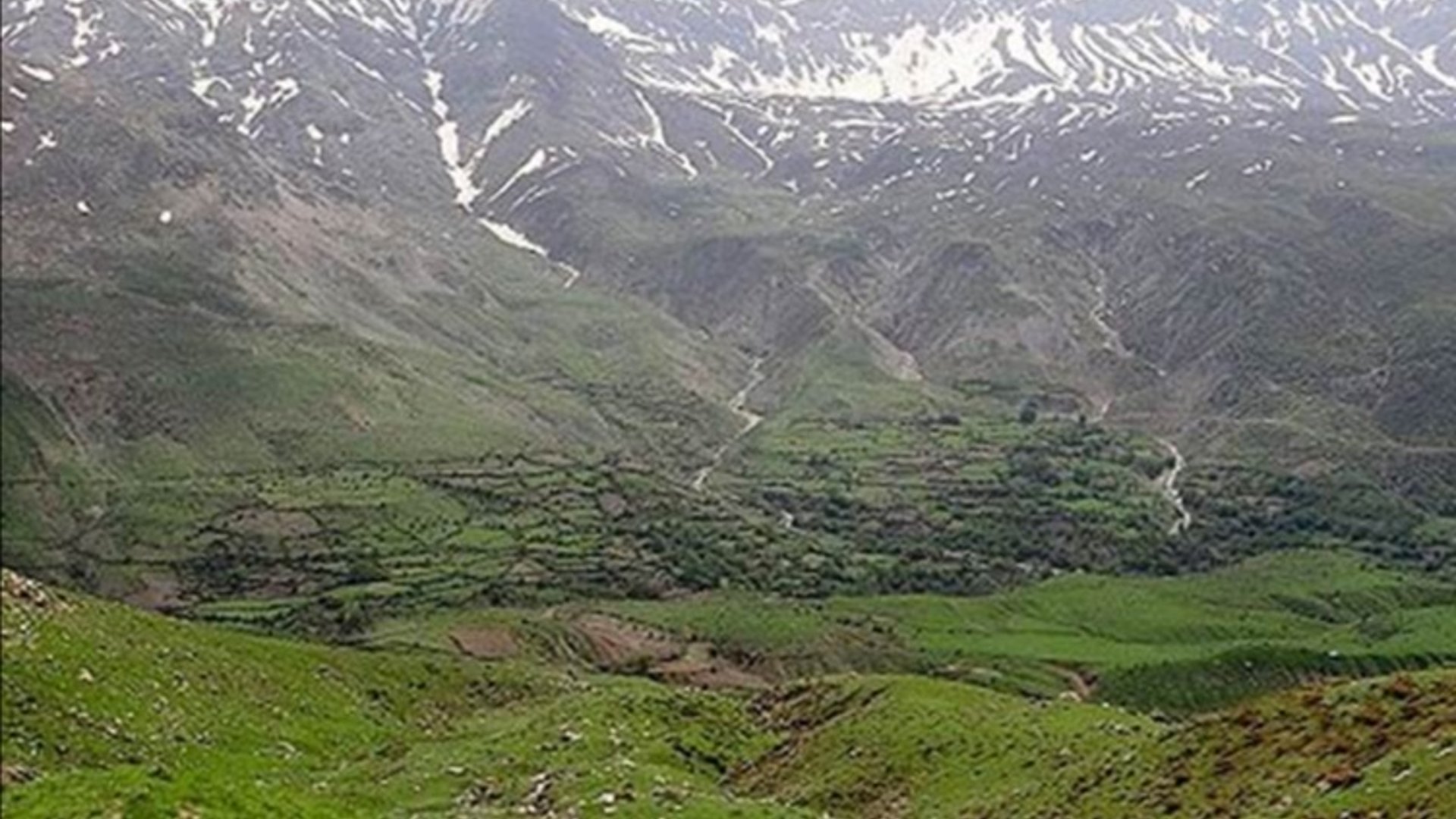 Qandil municipality tightens control on illegal logging » 964media