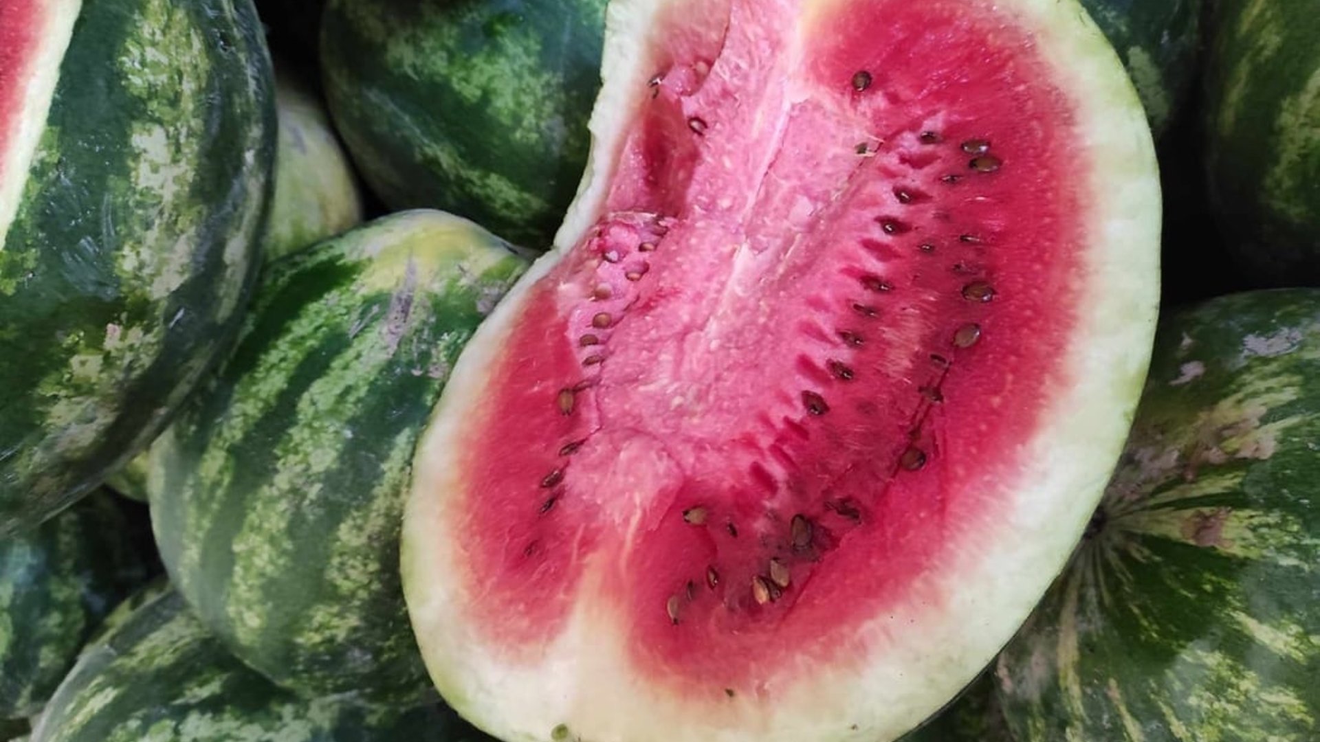 Over 42 tons of spoiled imported watermelon seized in Kurdistan » 964media