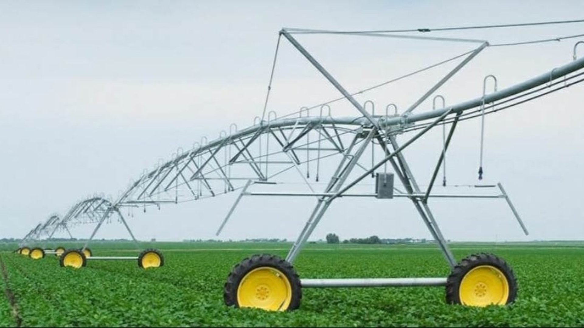 Iraq's agriculture ministry to allocate 12,000 sprinkler irrigation ... Iraq's agriculture ministry to allocate 12,000 sprinkler irrigation ...