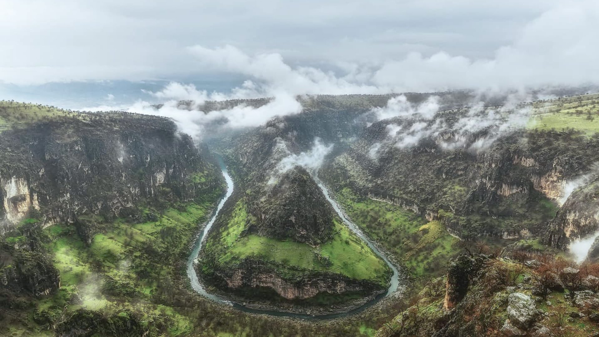 Barzan environmentalists release wild goat back into nature » 964media