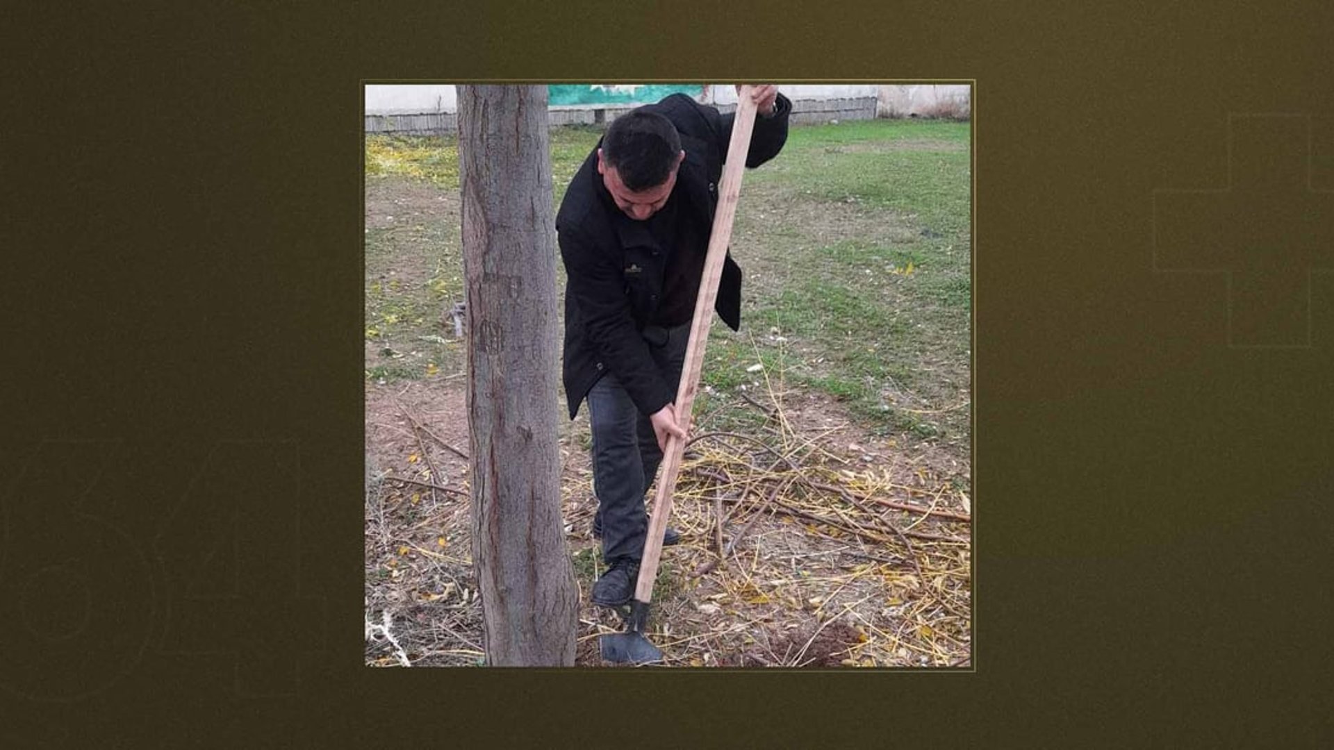 School tree-planting campaign increases greenery amid prolonged ...