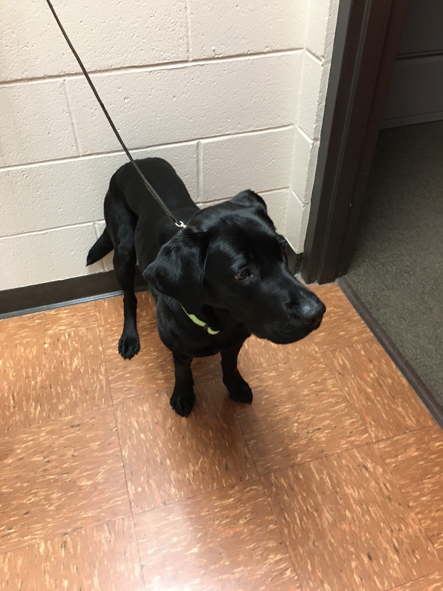 Enfield Firefighters Learned About Evidence Preservation, Fire Investigation – Enfield Fire ...