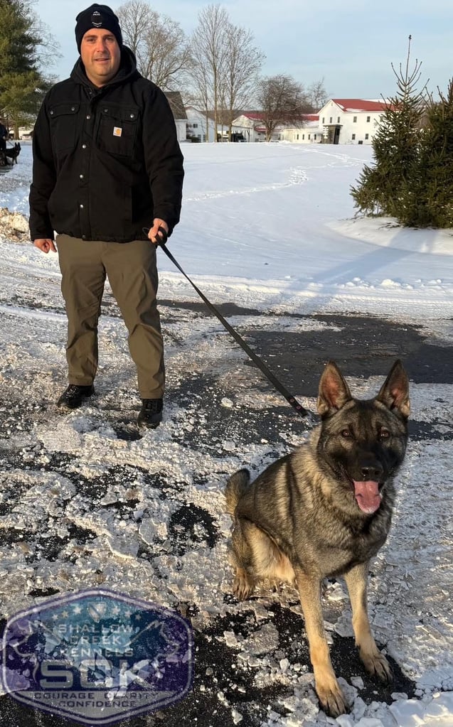 Stoughton Police Introduce New K-9 Team: Officer Steve Camara and K-9 ...