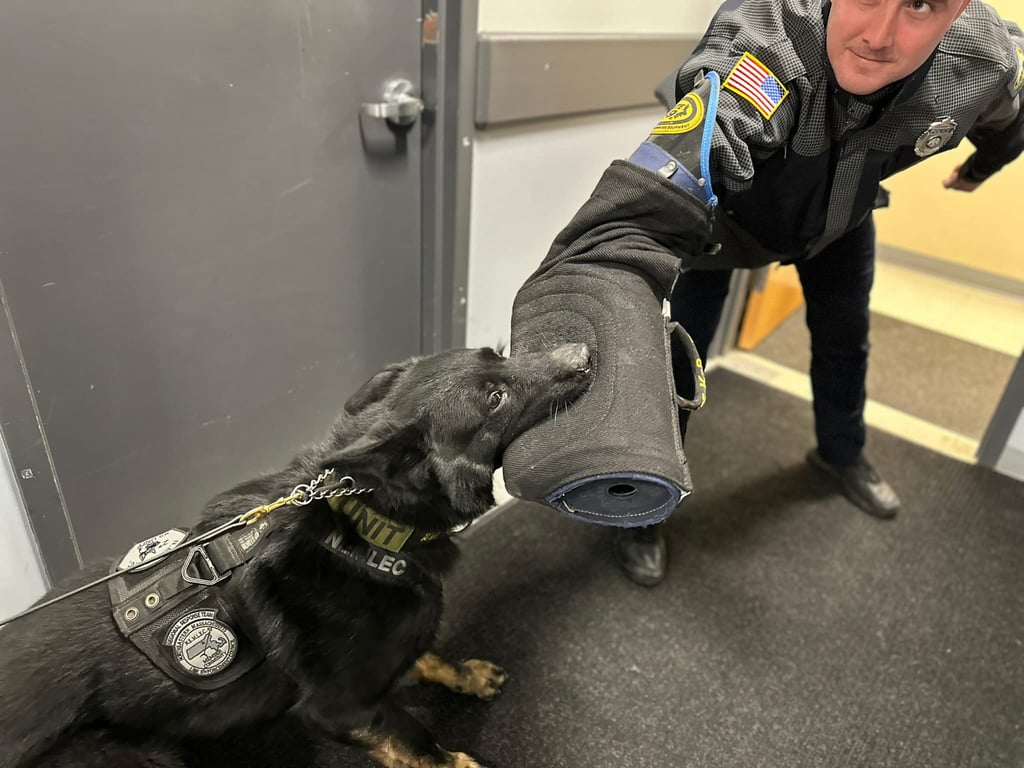 K-9 Unit – Chelmsford Police Department