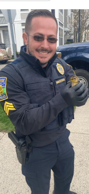 Melrose Police Rescue Ducklings From Storm Drain - Melrose Police ...