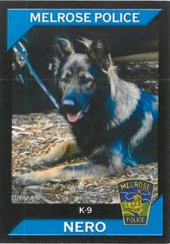 Melrose Police Department K-9 - Melrose Police Department