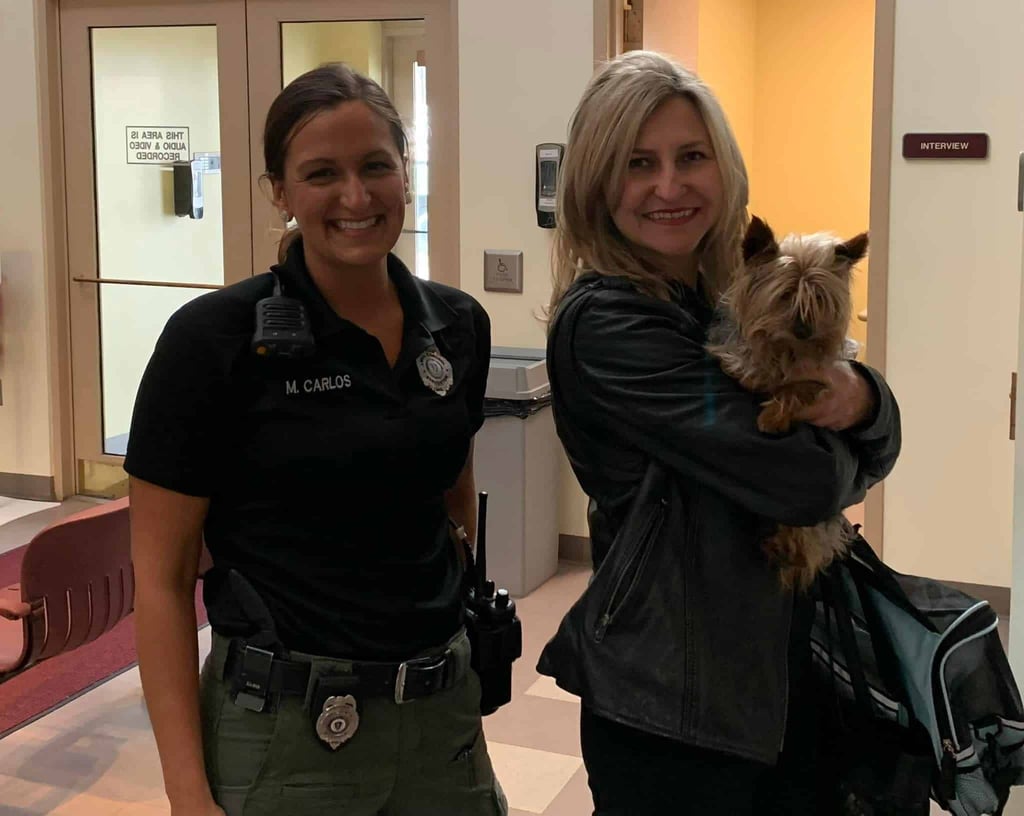 Animal Control – Stoughton, MA Police Department