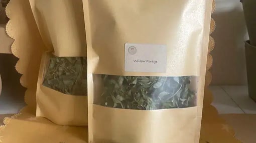 Willow Forage 50g – Seasonal Dried Treat & Enrichment for Guinea Pigs ...