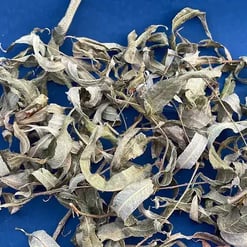 Willow Forage 50g – Seasonal Dried Treat & Enrichment for Guinea Pigs ...