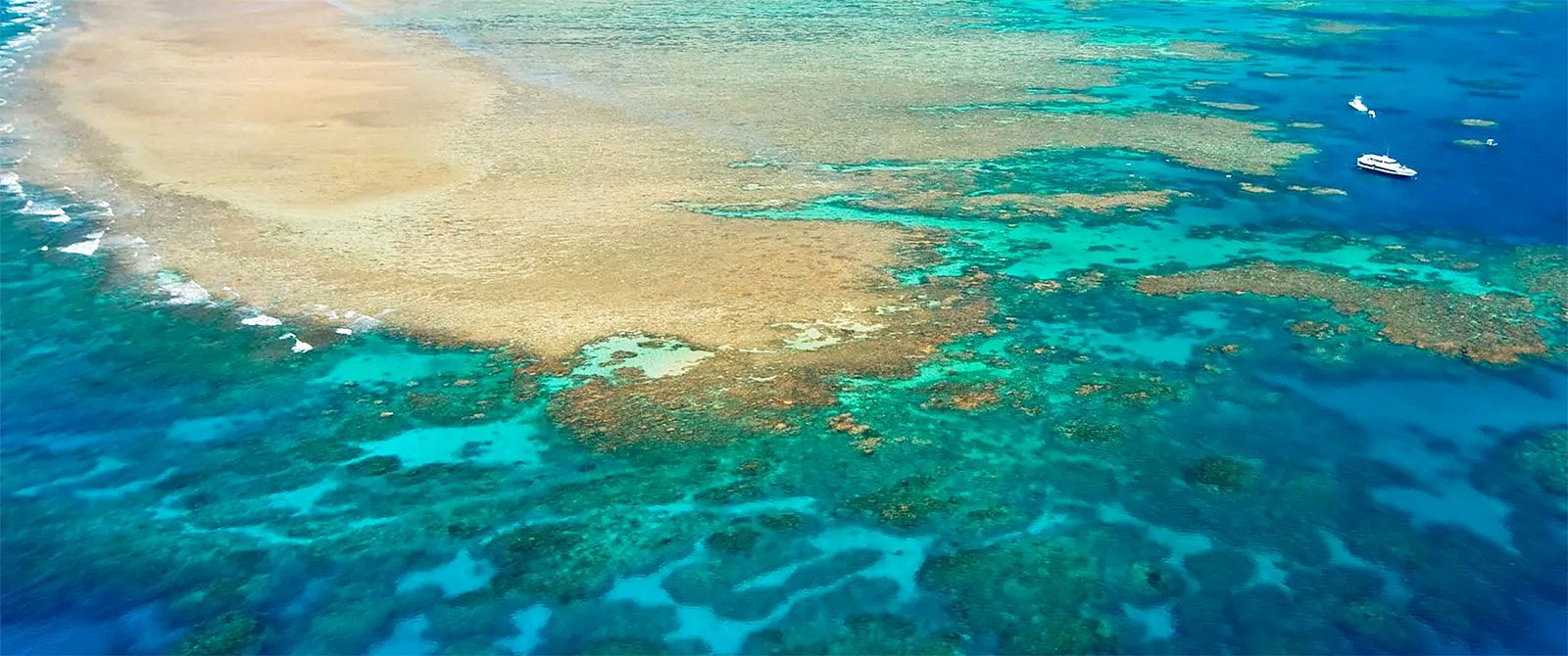 liveaboardtrip.com - Liveaboard Diving