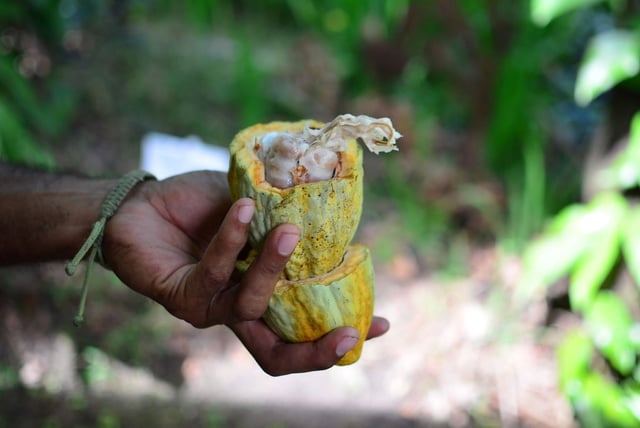 Eat and Drink - Fiji Traveller