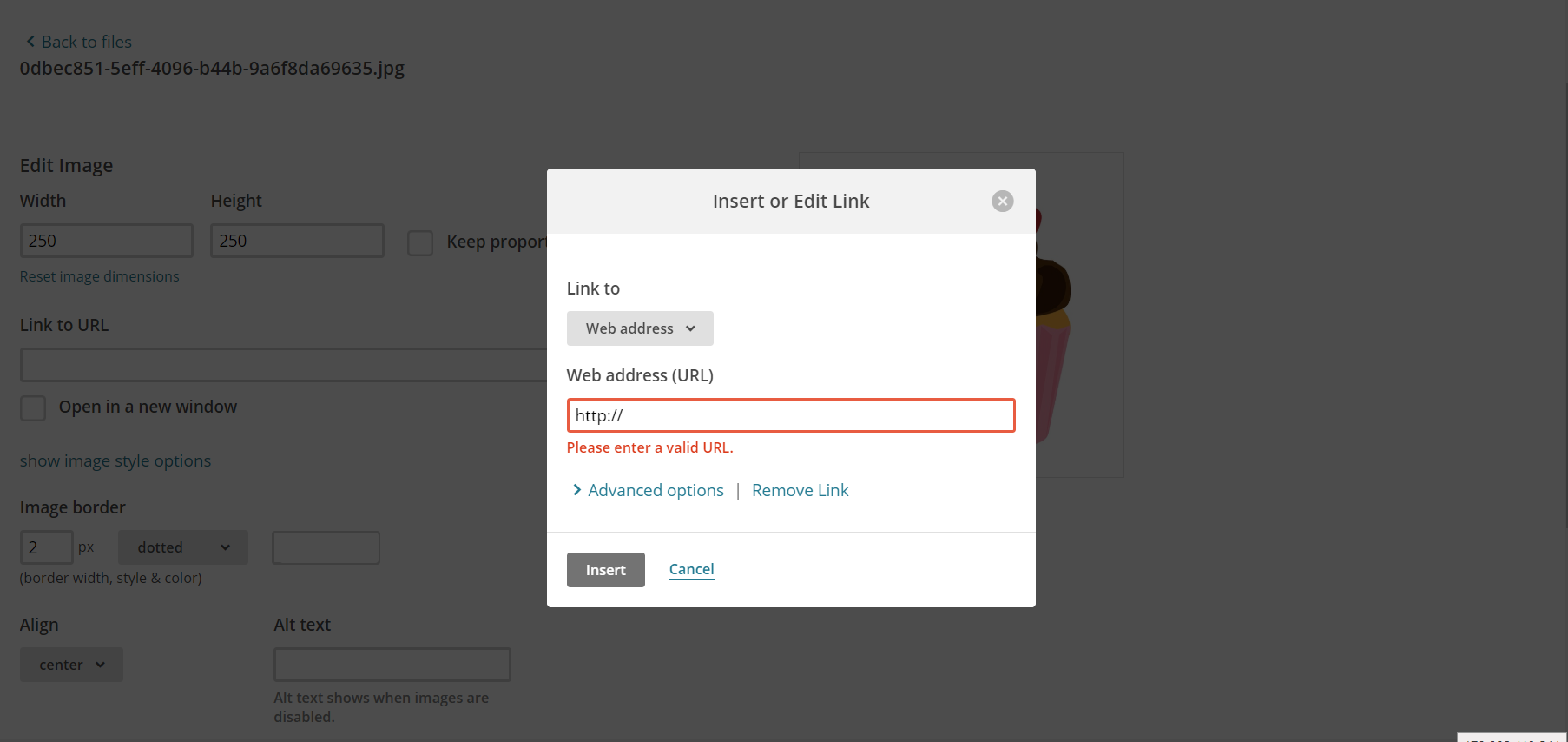 How to add an Opt-in to Mailchimp