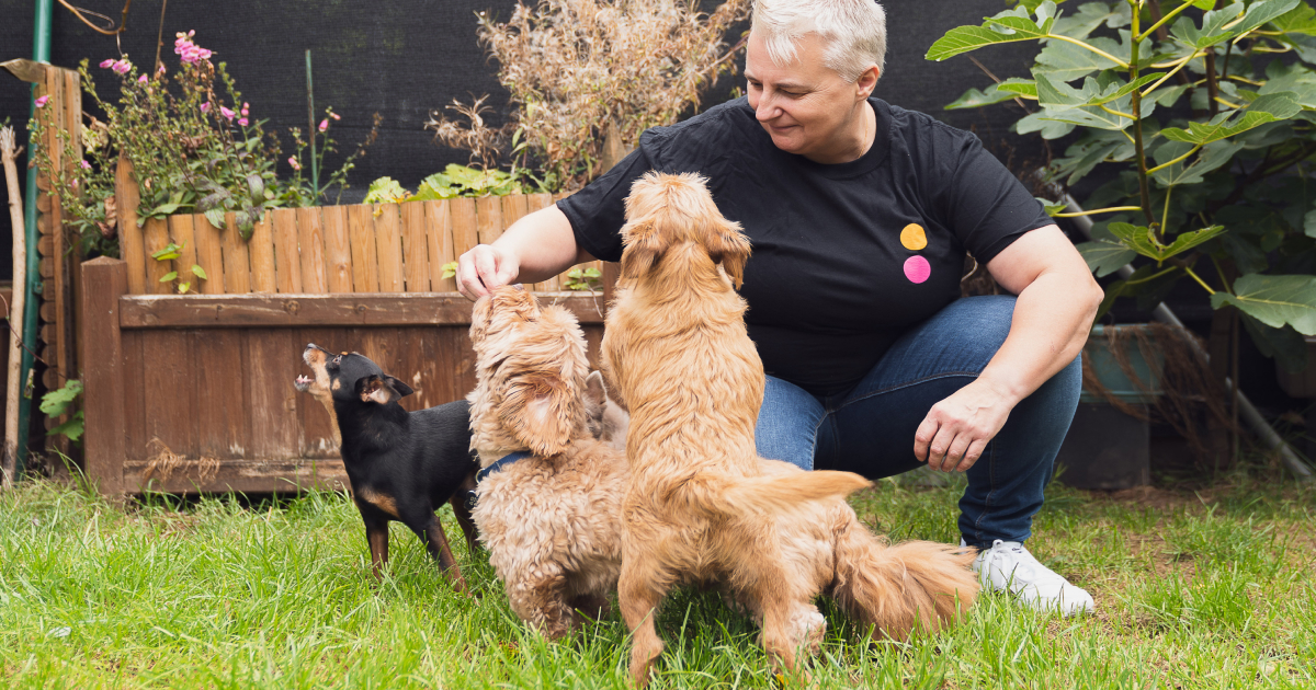 Garde chien: Dog sitter Souffelweyersheim
