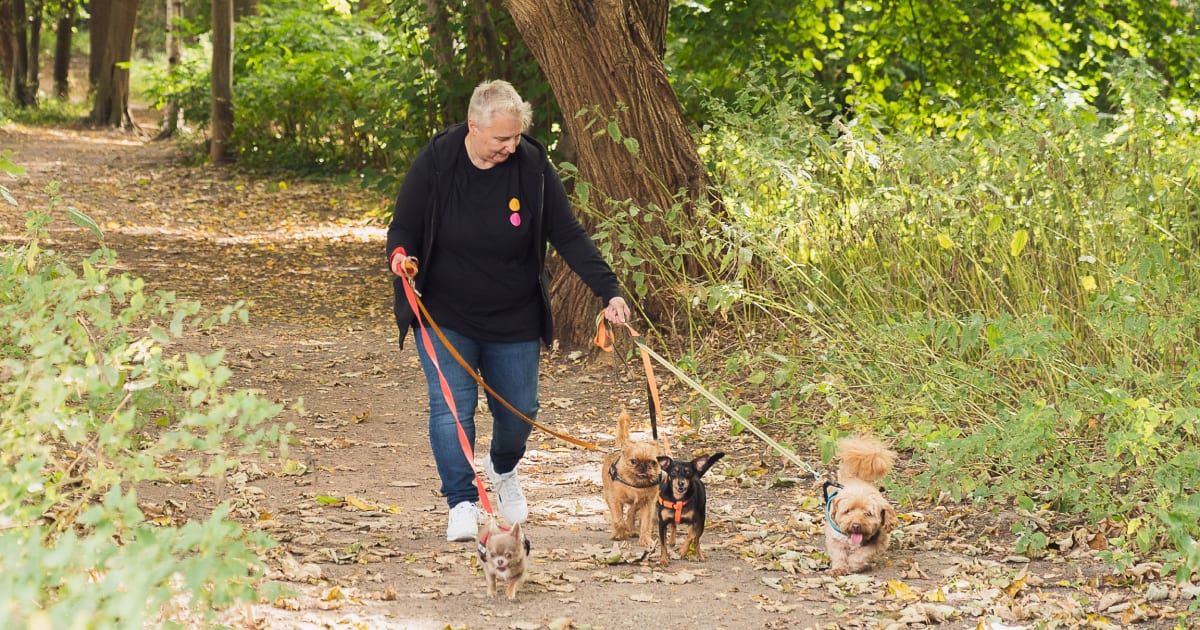 Promenade chien Vallauris: Promeneur de chien