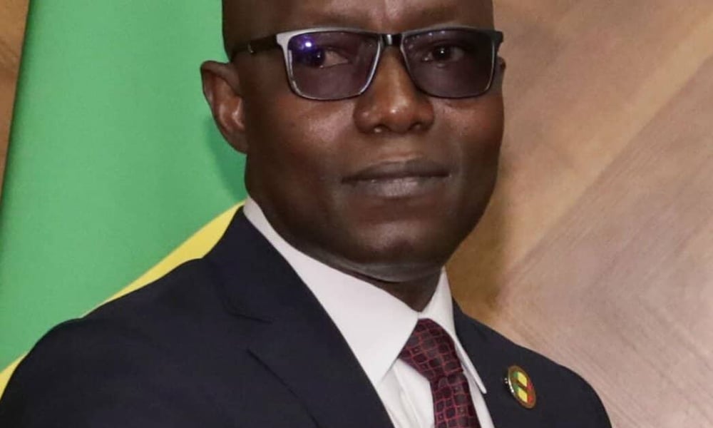 Mali : le CNT ouvre sa session d'octobre, le colonel Malick Diaw ...