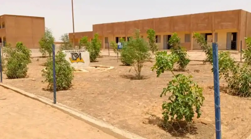 Société coopérative du développement écologique du Mali : Une oasis d ...