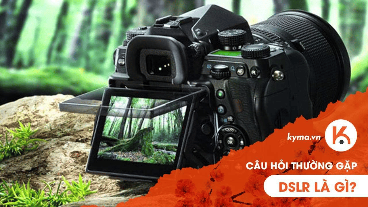Máy ảnh chuyên nghiệp Canon chính hãng giá tốt, trả góp 0%