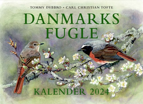 Danmarks fugle - kalender 2024. | Candynuts.dk