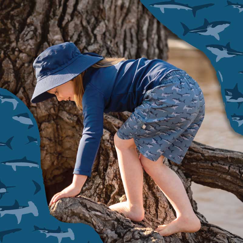 Shark UV Collection | Jan & Jul