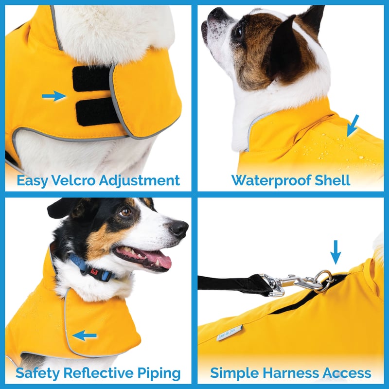 Dog Rain Jacket | Yellow | Jan & Jul
