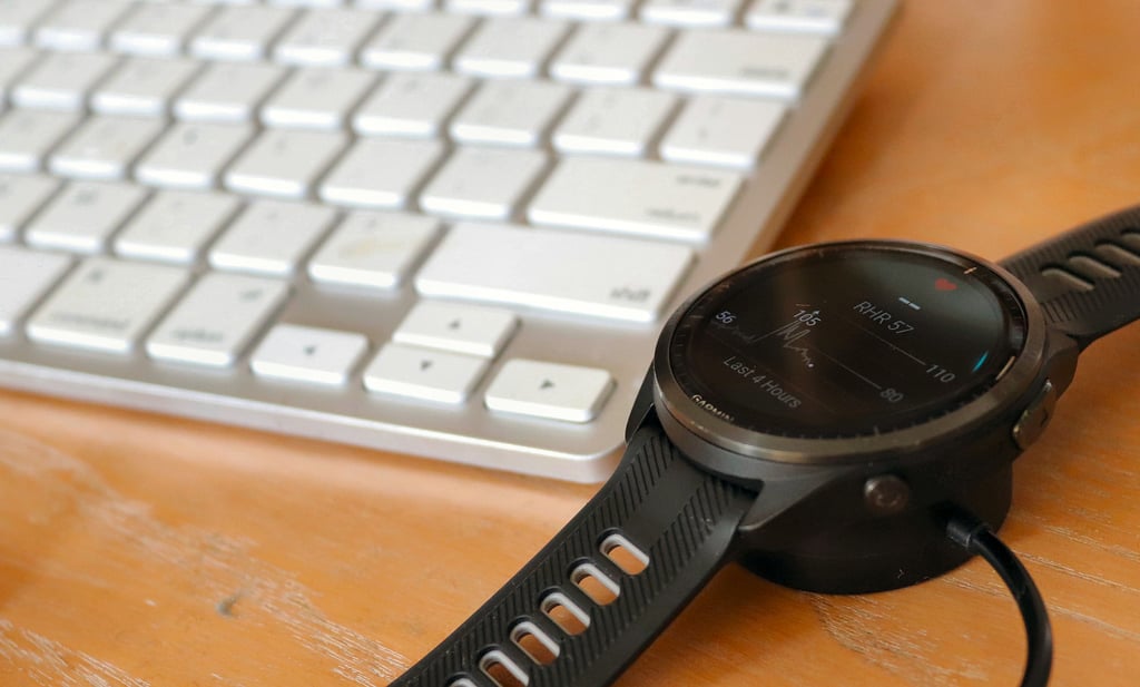 the Best Garmin Charger Dock Station (Charging Puck & Cable)