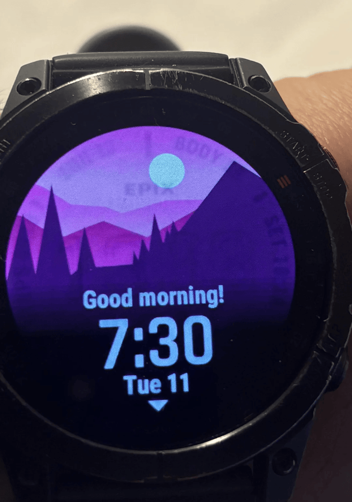 Garmin AMOLED Screen burn In - Issues continue to spread